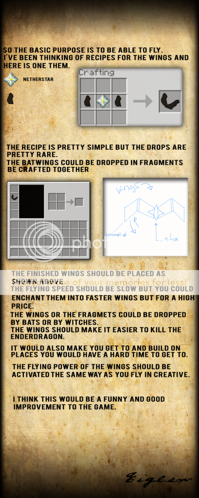 Minecraft idea | Wither bat wings